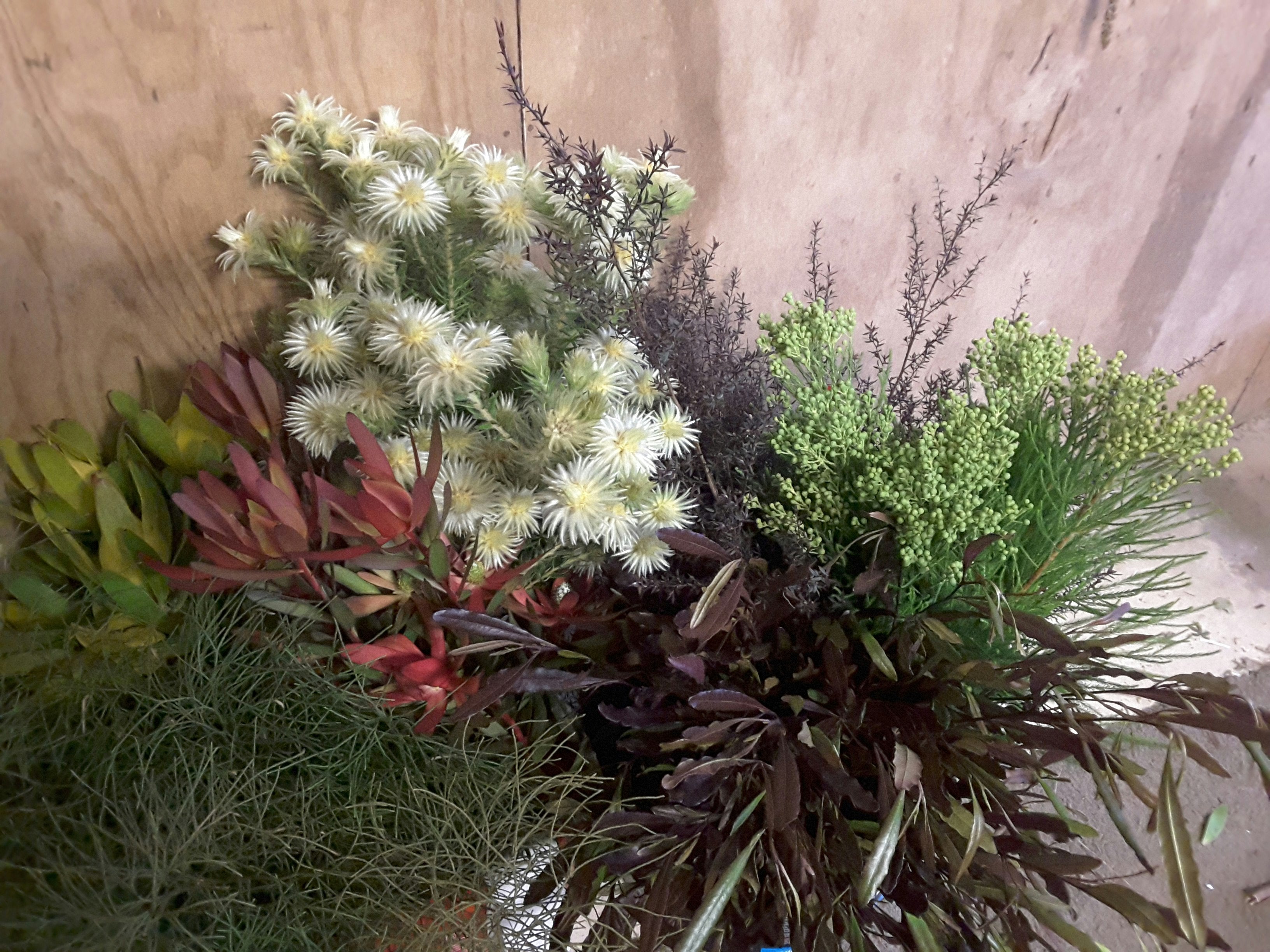 Mixed Box - Mini Cymbidium (10) & Mixed seasonal foliage (5 bunches ...